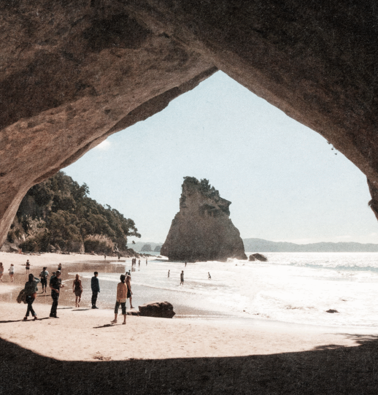 Services - The Retirement Guys